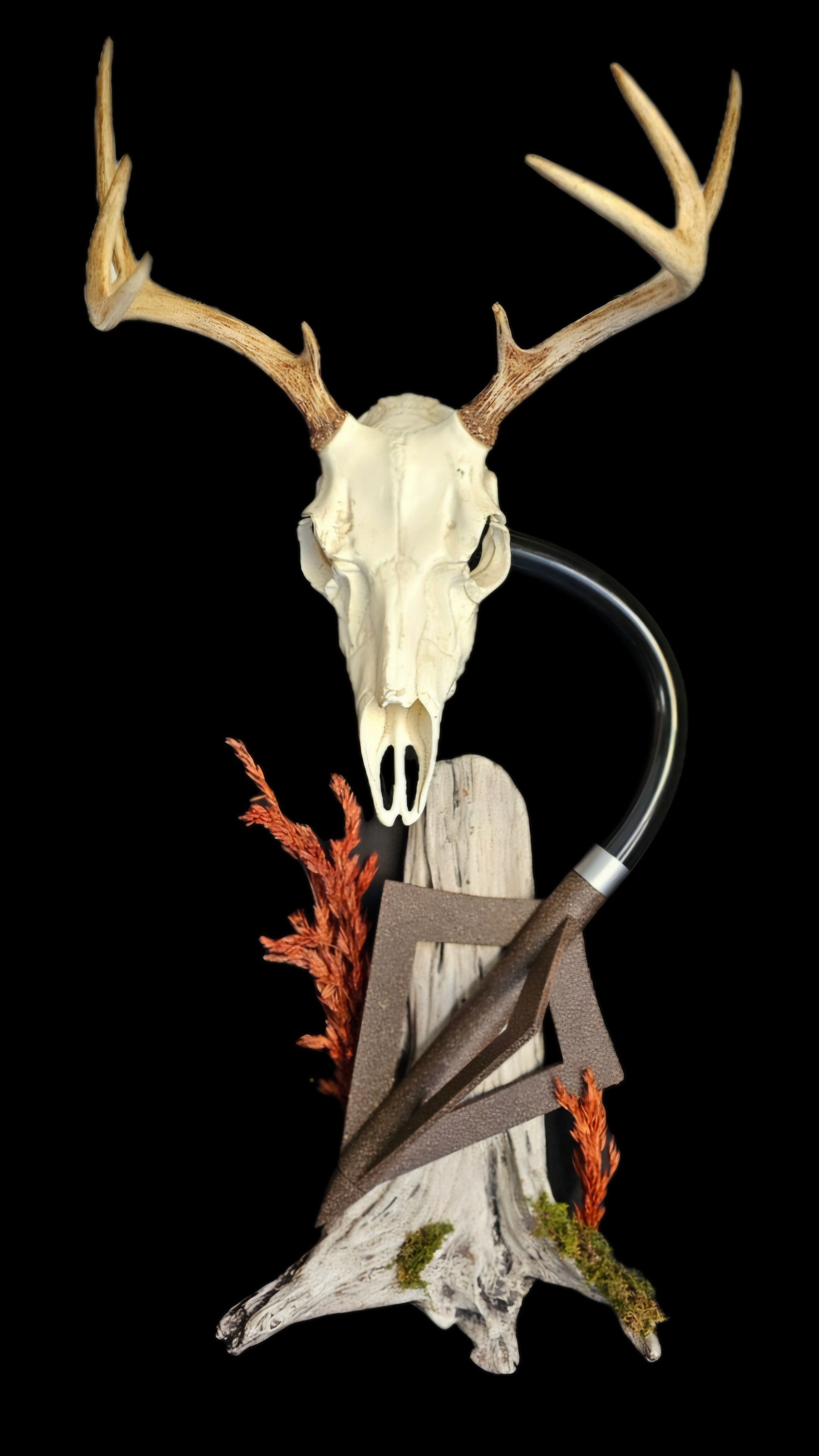 Unique European mount display for Archery harvest – FULL DRAW Euro ...